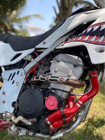 Kawasaki D tracker 250 2011, Galle