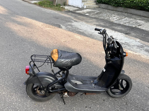 Suzuki Choi nori, Colombo