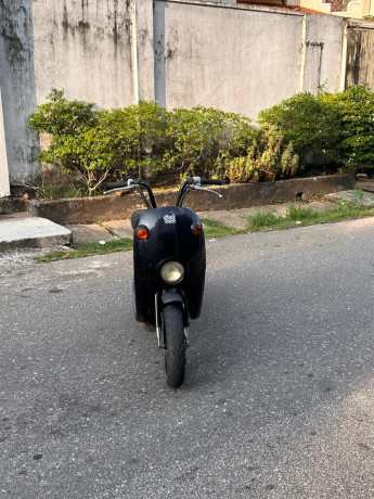 Suzuki Choi nori, Colombo